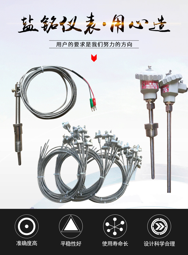 K型J型PT100铠装热电偶WRNK-191/131/291R热电阻耐温针式可弯曲-阿里巴巴