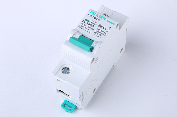 天正TGB1N-125 C63/80/100/125A小型断路器1P2P3P4P空气开关DZ47-阿里巴巴