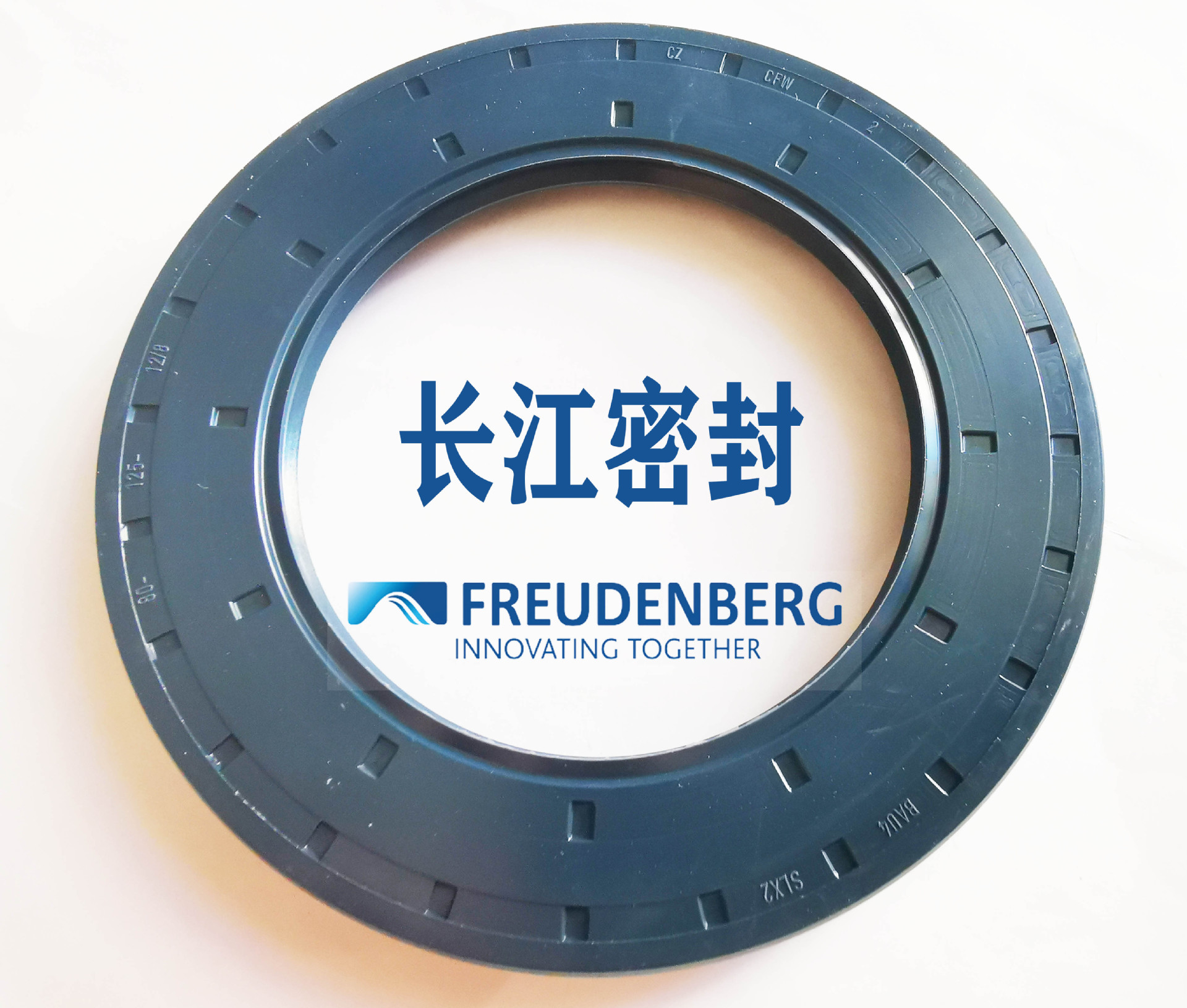 德国原装进口密封件 BAU3SLX2 CFW2 50x65x10/7 进口骨架油封-阿里巴巴