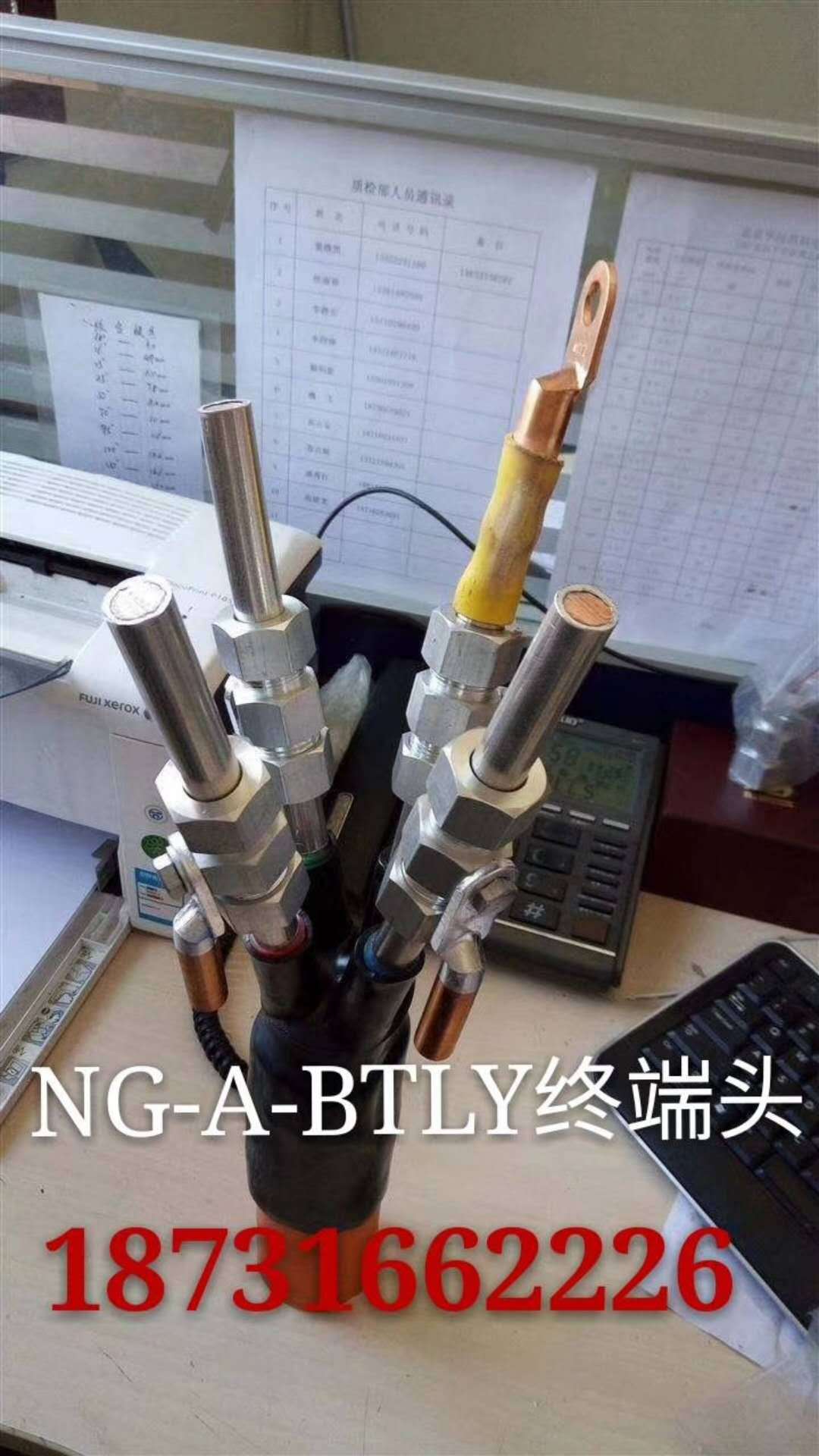 厂销 YTTW专用终端头 NG-A-BTLY终端头 BTTZ专用终端头-阿里巴巴