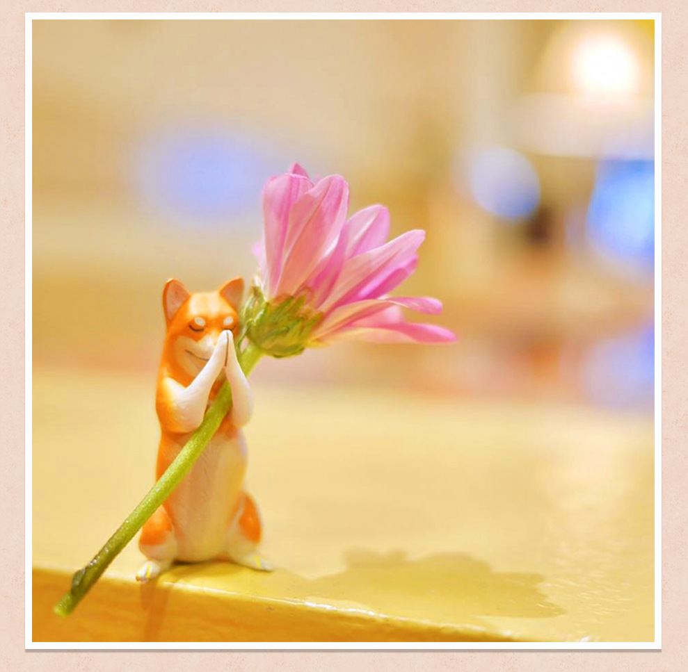 zakka ins手工彩绘三花猫合掌祈福动物系列DIY场景树脂扭蛋小摆件-阿里巴巴