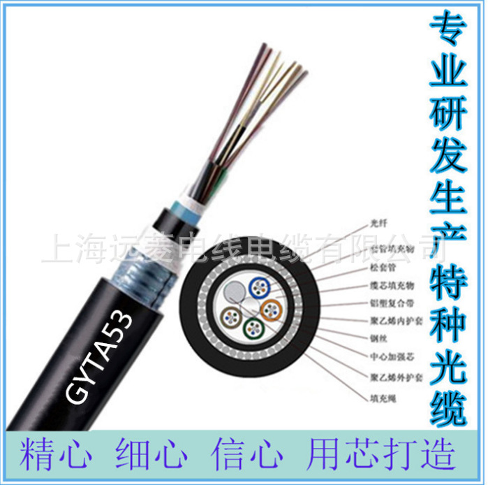 厂家生产直销 24芯单模光缆 GYTA 24B1 室外光纤光缆 铠装光缆-阿里巴巴