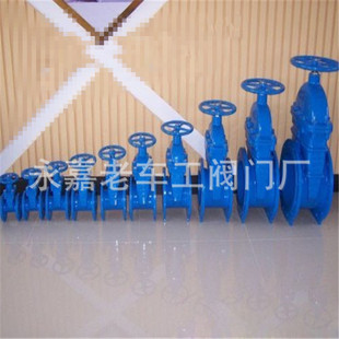 Z45X-10Q球墨铸铁闸阀 暗杆软密封闸阀 DN500 法兰弹性座密封闸阀-阿里巴巴