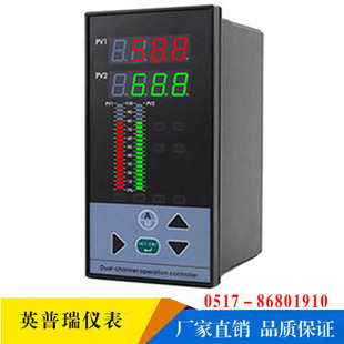 TS823双回路双光柱数字显示测控仪 温度压力液位显示报警仪厂家-阿里巴巴