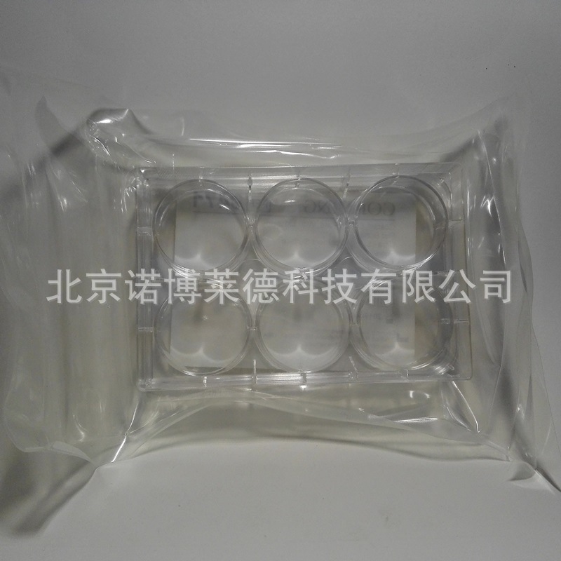 康宁corning3471低吸附培养板6孔 大量现货，1个/包，24个/箱-阿里巴巴