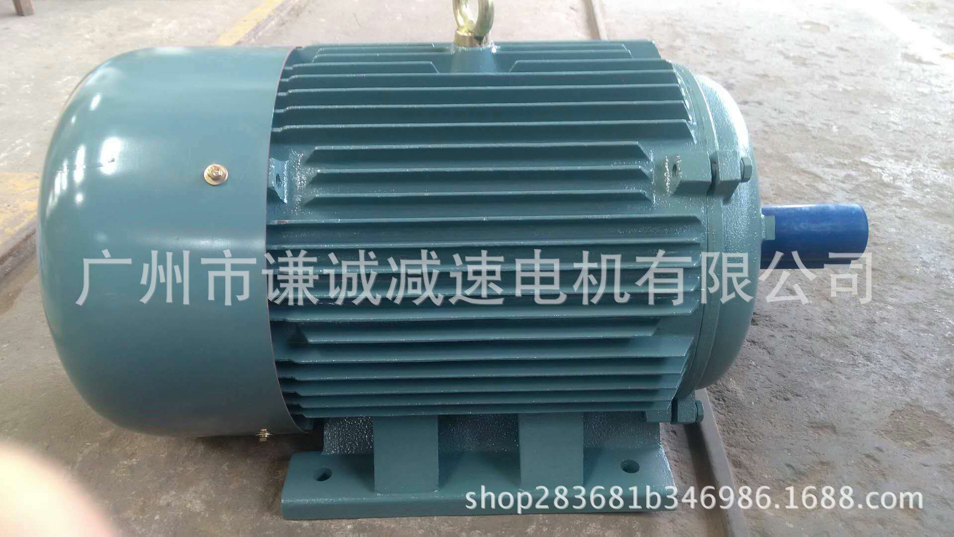 翔鲨/鑫诺30千瓦电机YE4/YE3/YE2 200L-4 30KW立式卧式-阿里巴巴