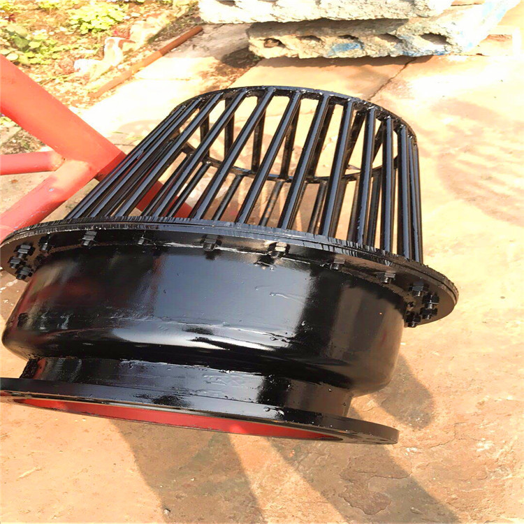 底阀H42X-10 DN150法兰底阀 水泵底阀单向阀止回阀莲蓬头-阿里巴巴