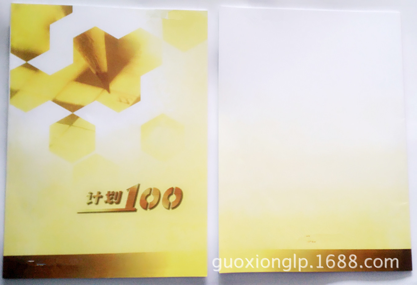 Insurance Plan 100 Plan One Hundred Plan 1 100 Company Promotional ...