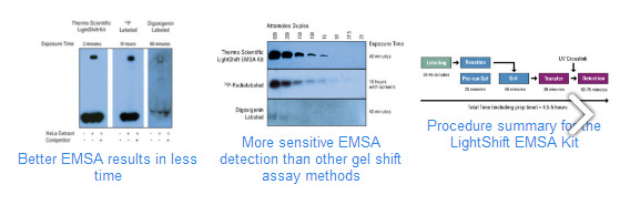 100 reactions 20148 LightShift化学发光EMSA试剂盒-阿里巴巴