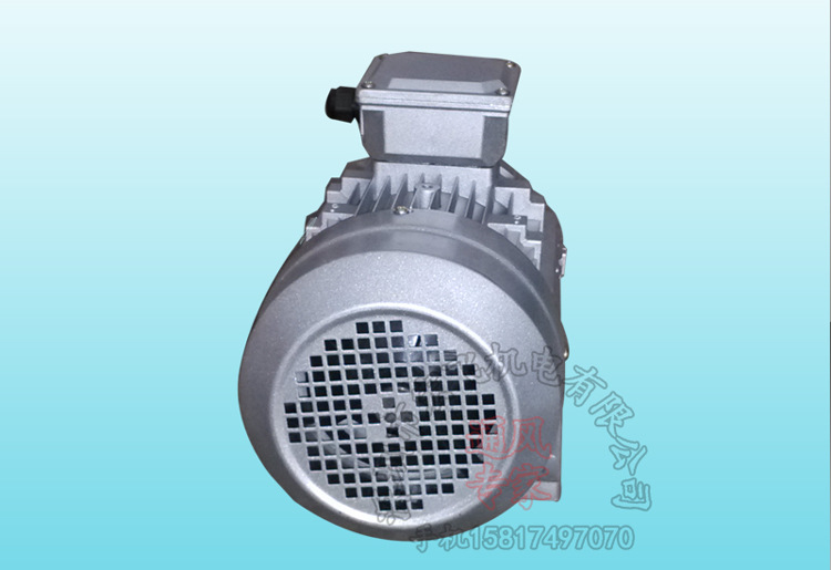 Y系列三相异步电动机Y100L-2 3KW 2级2800转 铝壳立卧式电机-阿里巴巴