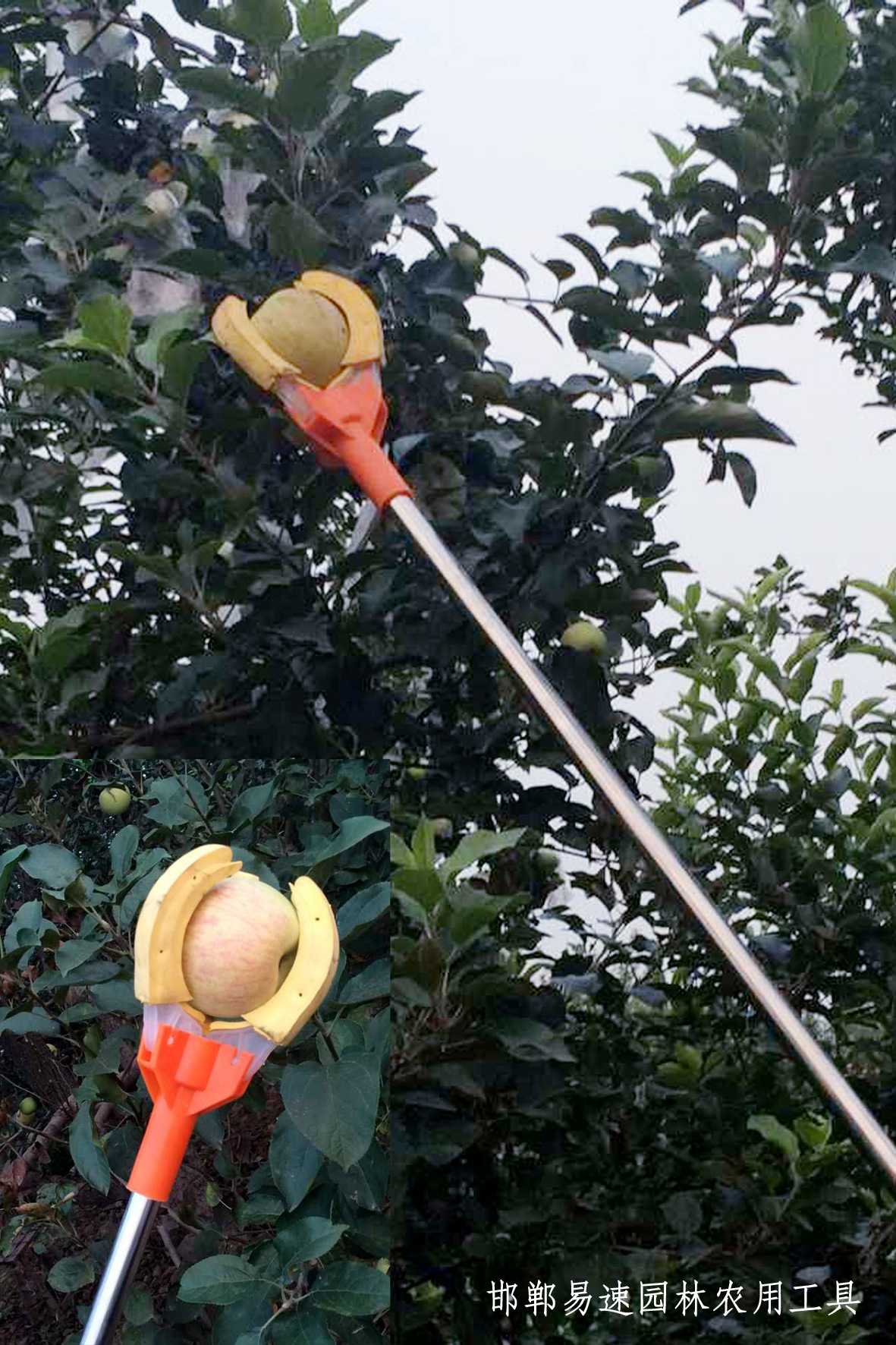 Supply Fruit-Picking Device Fruit Picking Rod Fruit Picking Device ...