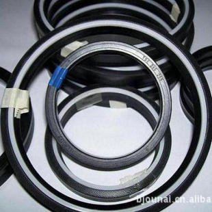 供应B+S宝色霞板密封件 巴塞尔密封 POLYPAC -BALSELE液压密封-阿里巴巴