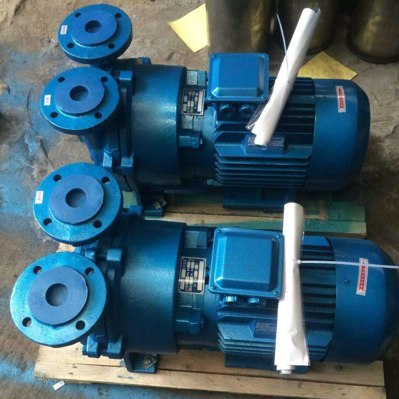 水环真空泵 2BV2061 2BV液环式真空泵 SKA电动水环式真空泵厂家-阿里巴巴