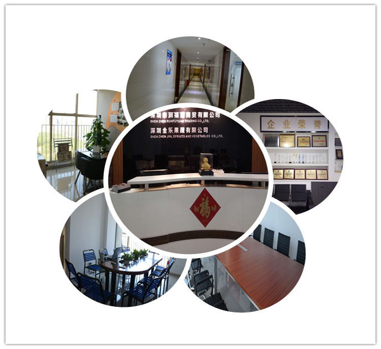 维达2000g家用卫生纸10卷蓝色经典4层 v4073有芯卷筒纸加厚厕纸巾-阿里巴巴