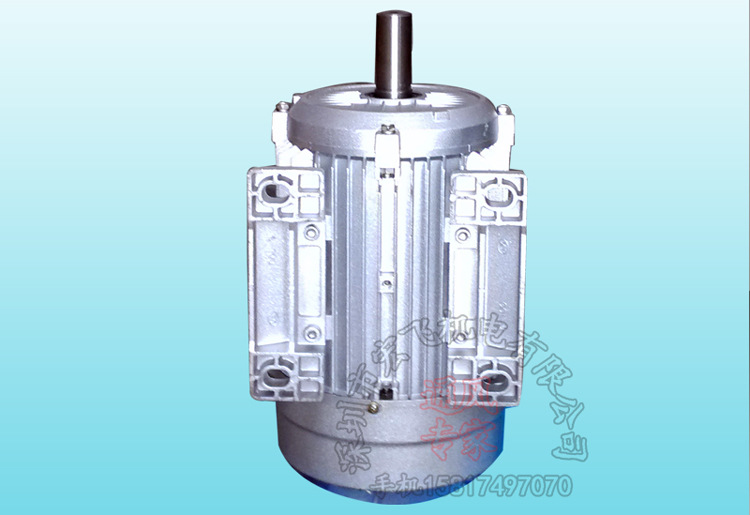 Y系列三相异步电动机Y100L-2 3KW 2级2800转 铝壳立卧式电机-阿里巴巴