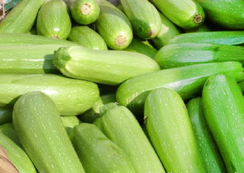 荀瓜图片,笋瓜图片大全大图,笋瓜和西葫芦区别图片_大山谷图库