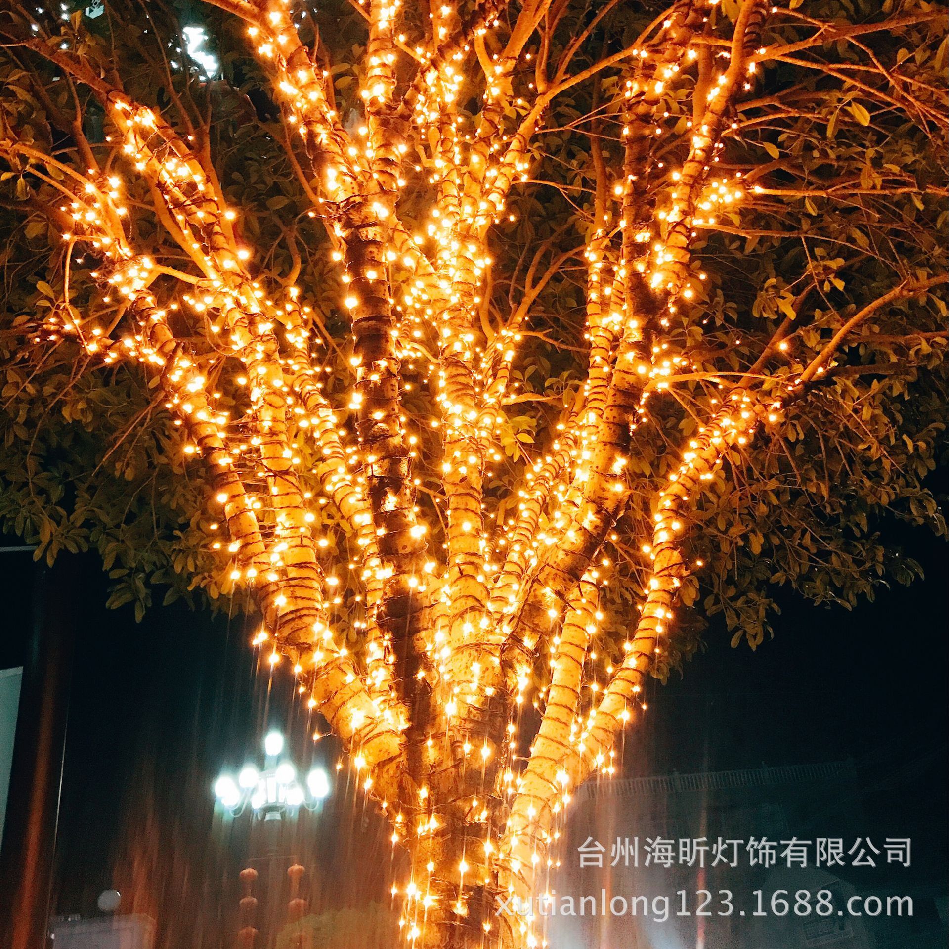 LED星星灯串满天星小彩灯灯串LED电池盒灯串寝室房间绕树工程亮灯-阿里巴巴