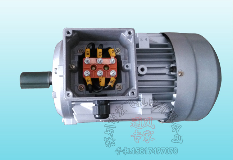 Y系列三相异步电动机Y100L-2 3KW 2级2800转 铝壳立卧式电机-阿里巴巴