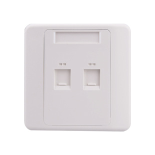 泛达双口网络信息面板CFPL86F2SAW斜角45度单孔四口电话-阿里巴巴