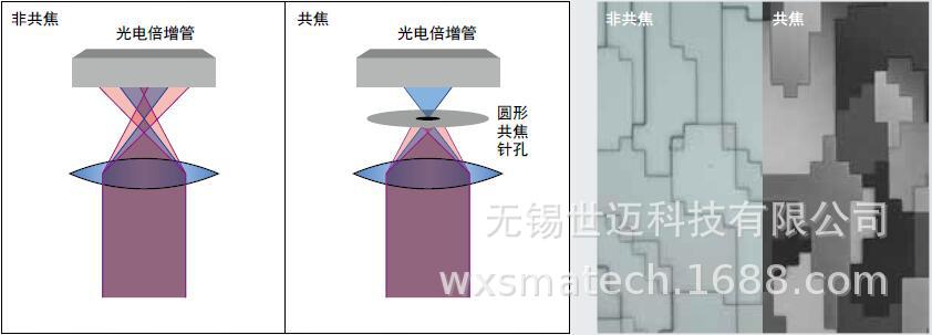 OLYMPUS 3D测量激光显微镜lext OLS5000-阿里巴巴