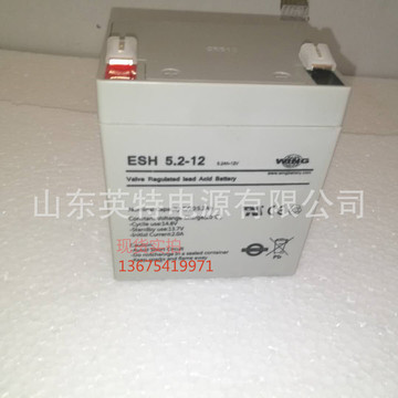 ESH 5.2-12 WING蓄电池 机械手臂备用电源电池 12V5.2AH-阿里巴巴