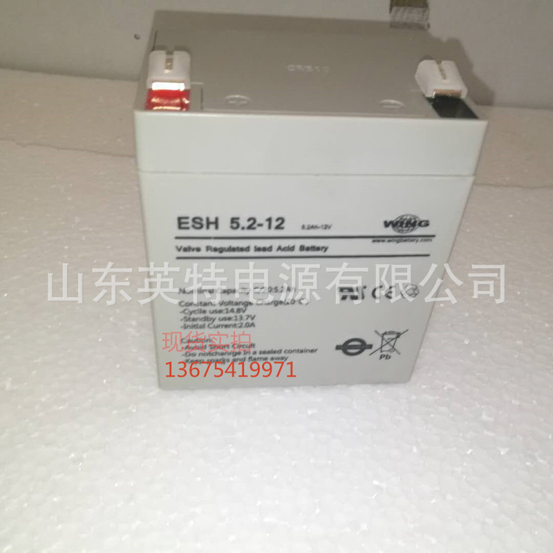 ESH 5.2-12 WING蓄电池 机械手臂备用电源电池 12V5.2AH-阿里巴巴