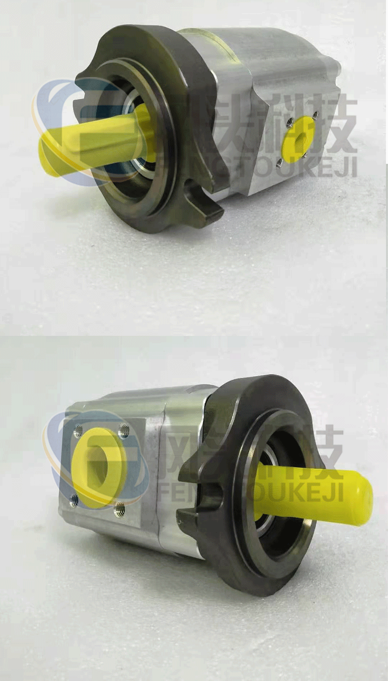 特价原装德国艾可勒ECKERLE齿轮泵EIPS2-011RB04-10 S111齿轮油泵-阿里巴巴