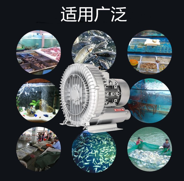 批发直流高压风机RB-33D-1 0.55KW吹膜机鼓风机 大风量旋涡气泵-阿里巴巴