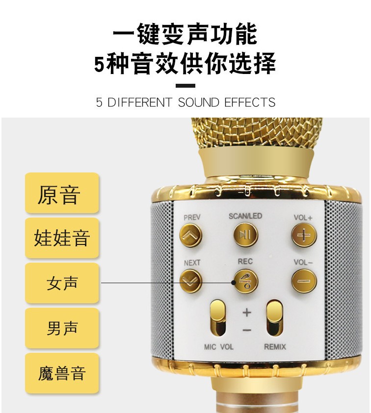 WS858L带灯话筒音响一体无线蓝牙麦克风家庭k歌宝手机k歌手持音箱-阿里巴巴