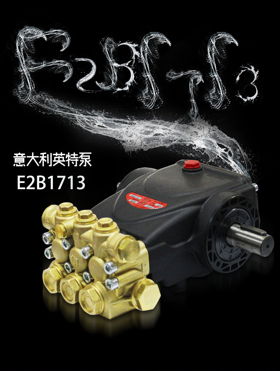 荐意大利INTERPUMP 陶瓷柱塞泵E2B1713 高压喷雾柱塞泵 园林景观-阿里巴巴