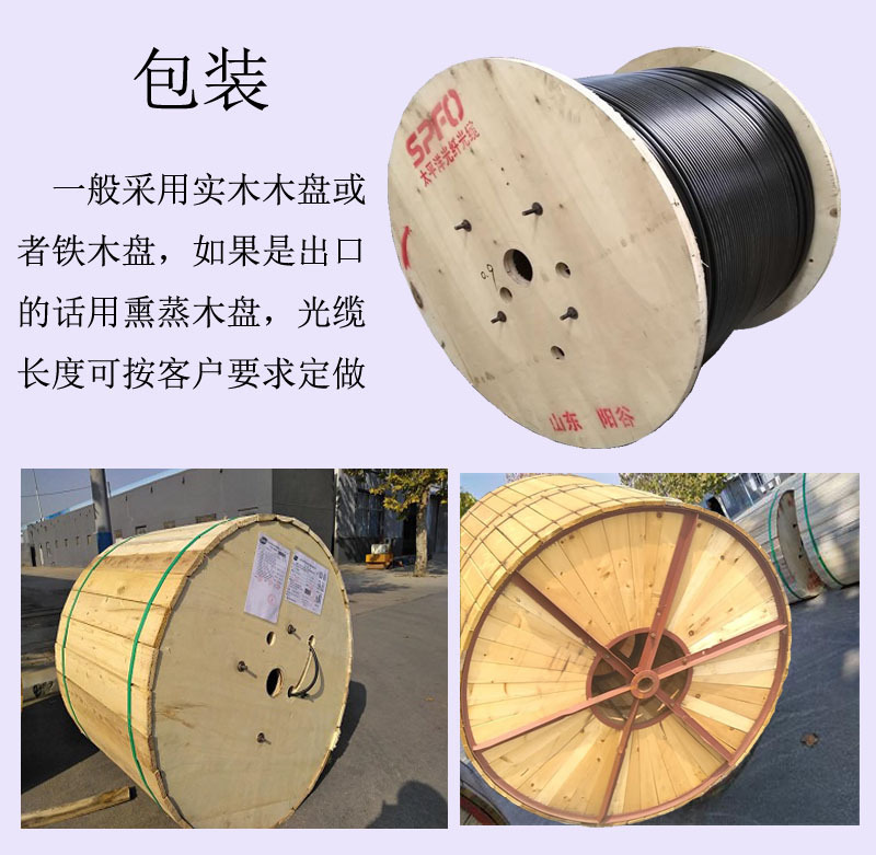 山东太平洋光缆 GYFTZA53-8B1 8芯单模光纤 非金属阻燃铠装光缆-阿里巴巴