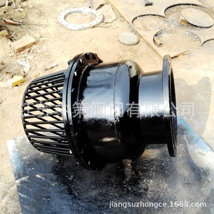 H42X-10法兰底阀止回阀 抽水泵吸水底阀DN50 65 80 100 150 200-阿里巴巴