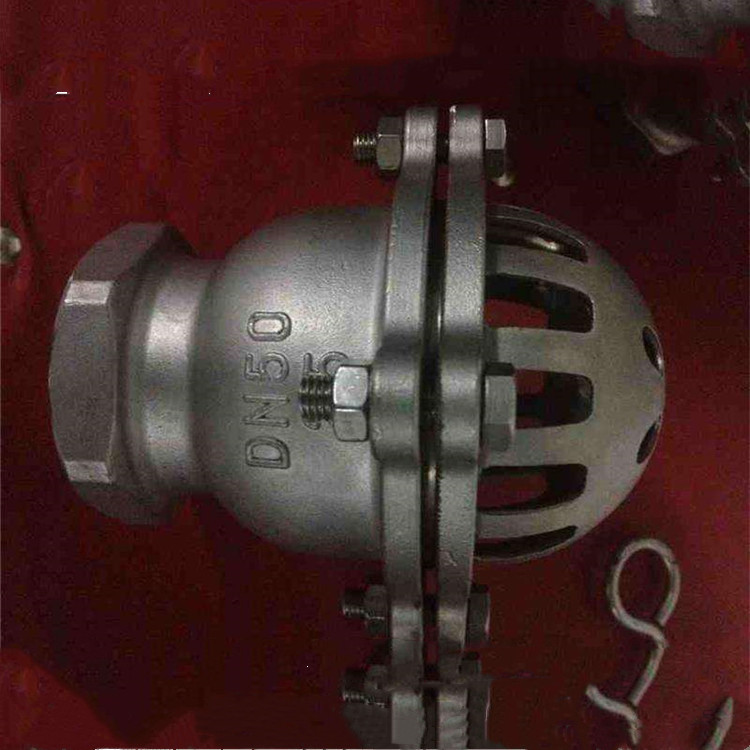 H42X-10 铸铁底阀 法兰单向阀 水笼头 水下底阀 DN250-阿里巴巴