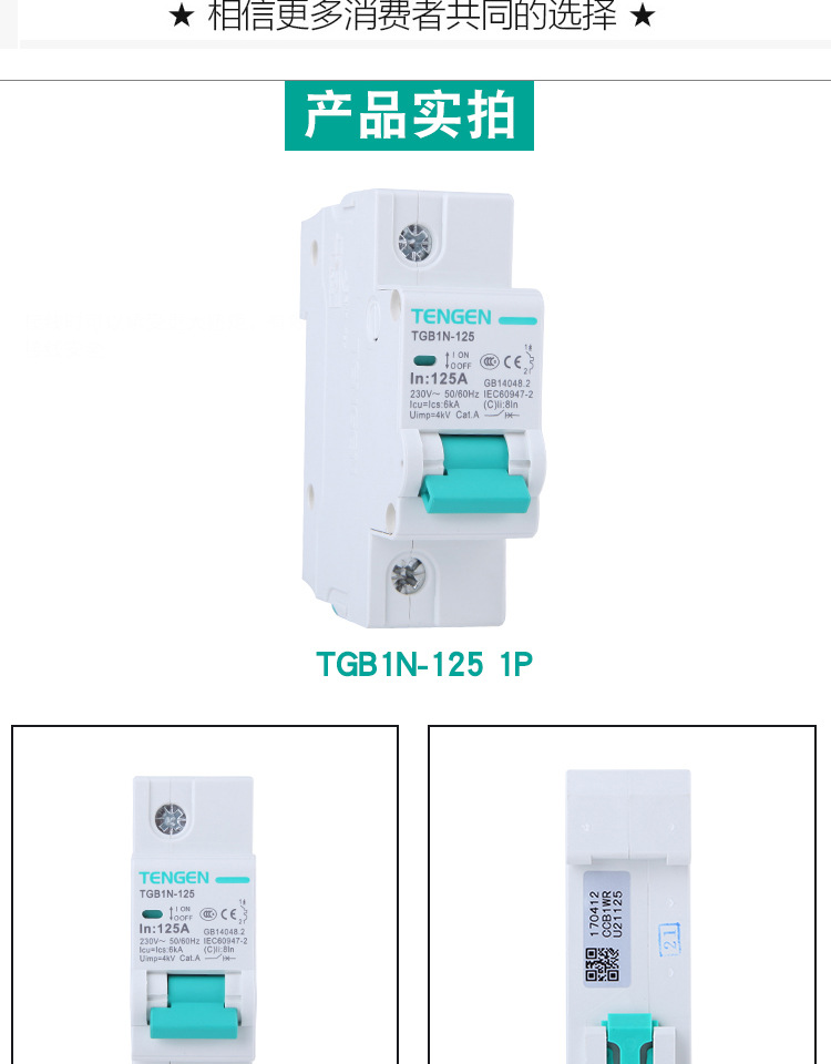 天正TGB1N-125 C63/80/100/125A小型断路器1P2P3P4P空气开关DZ47-阿里巴巴