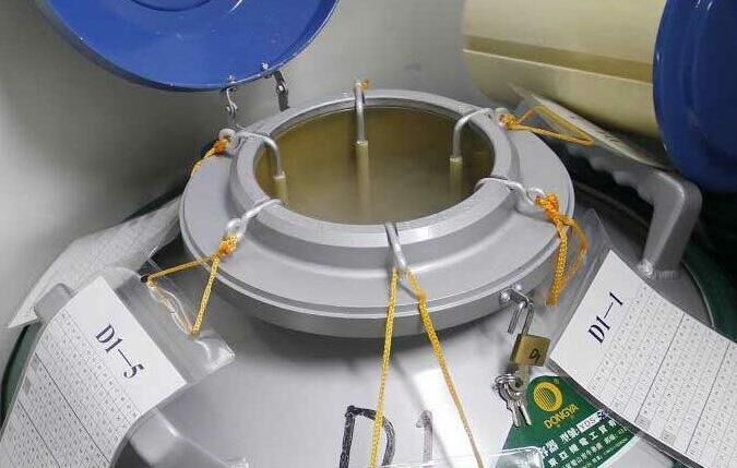 乐山东亚液氮罐 YDS-50B-125F 配6套6层（5x5）冻存架-阿里巴巴