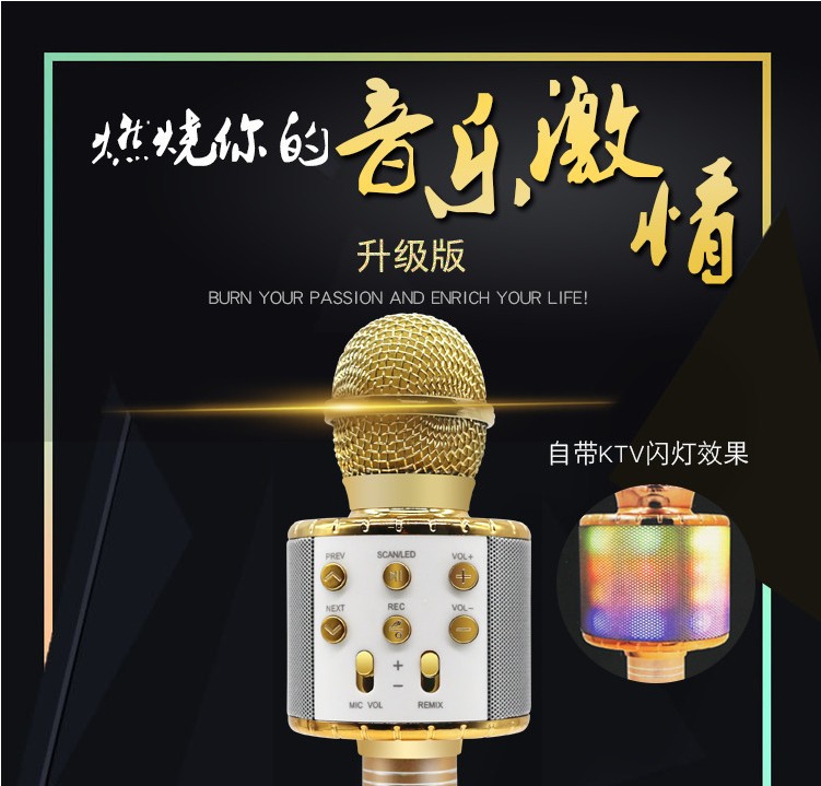 新款高配LED灯WS858L家庭KTV音响话筒户外活动蓝牙音箱无线麦克风-阿里巴巴
