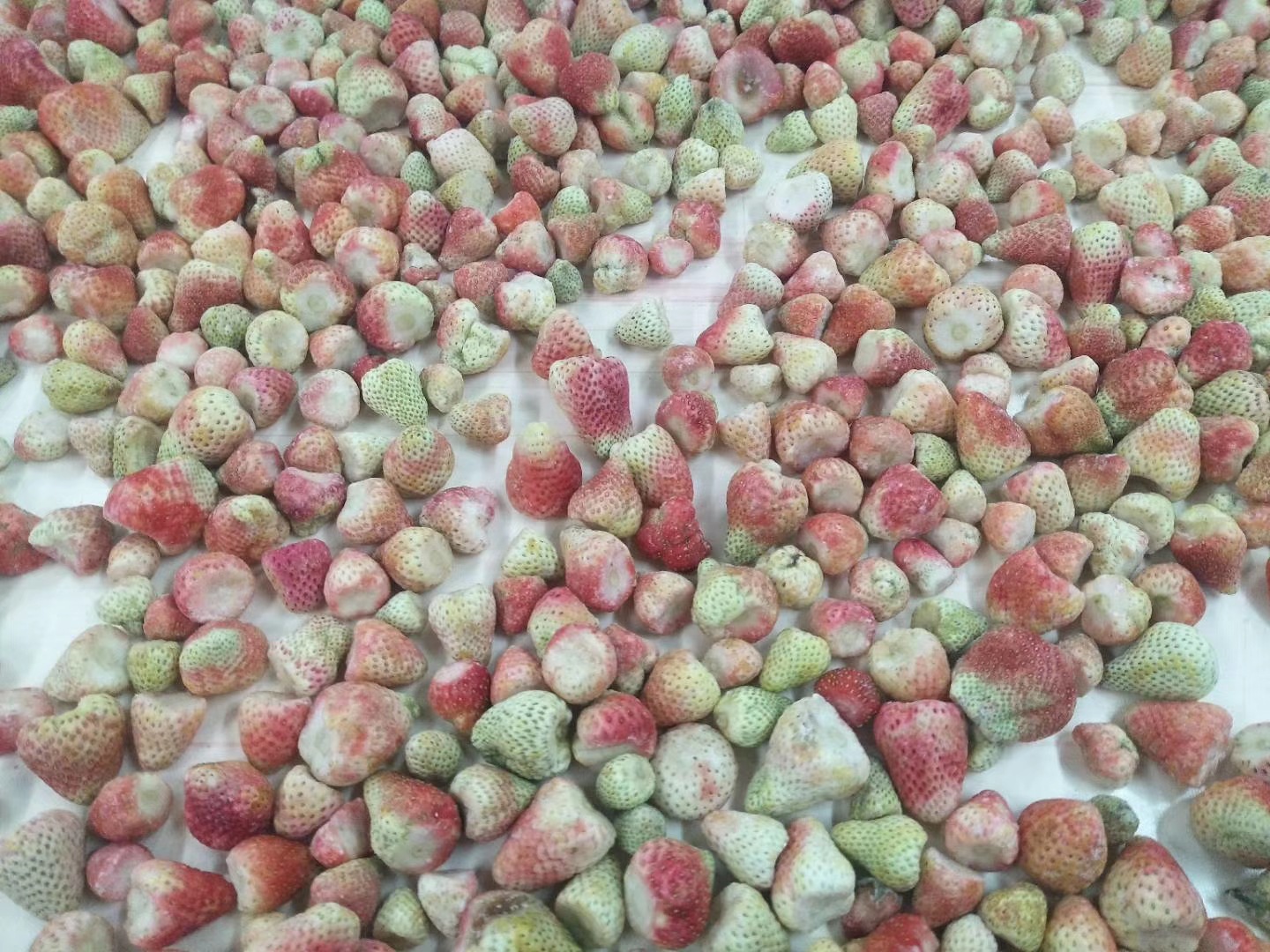 冷冻水果厂家批发 1吨速冻青白头速冻草莓果酱原料冷冻草莓-阿里巴巴