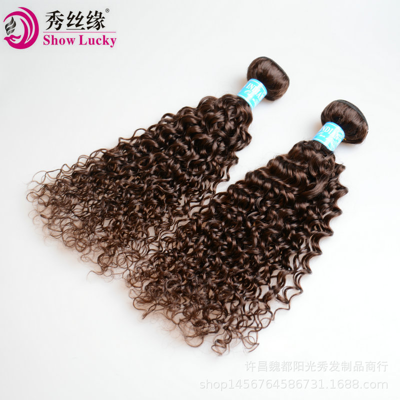 Wig factory wholesale Indian human hair water wave color2 - ShopShipShake