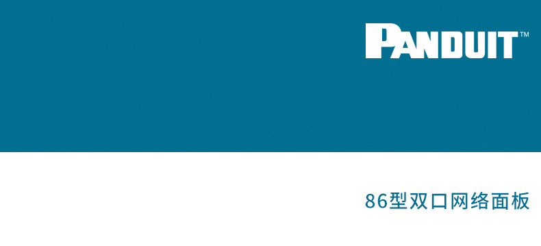 PANDUIT泛达双口面板CFPL86F2SAW双口平口面板 泛达六类模块面板-阿里巴巴