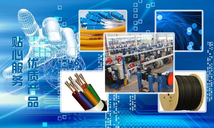 山东太平洋光缆 GYFTZA53-8B1 8芯单模光纤 非金属阻燃铠装光缆-阿里巴巴