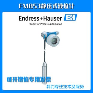 德国E+H恩德斯豪斯FMB53-AA21RA1HGD15B3A+AKL=5M静压式液位计-阿里巴巴