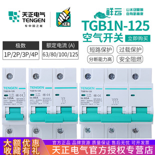天正TGB1N-125小型断路器DZ47空气开关DZ158 1P/2P/3P/4P闸刀100A-阿里巴巴