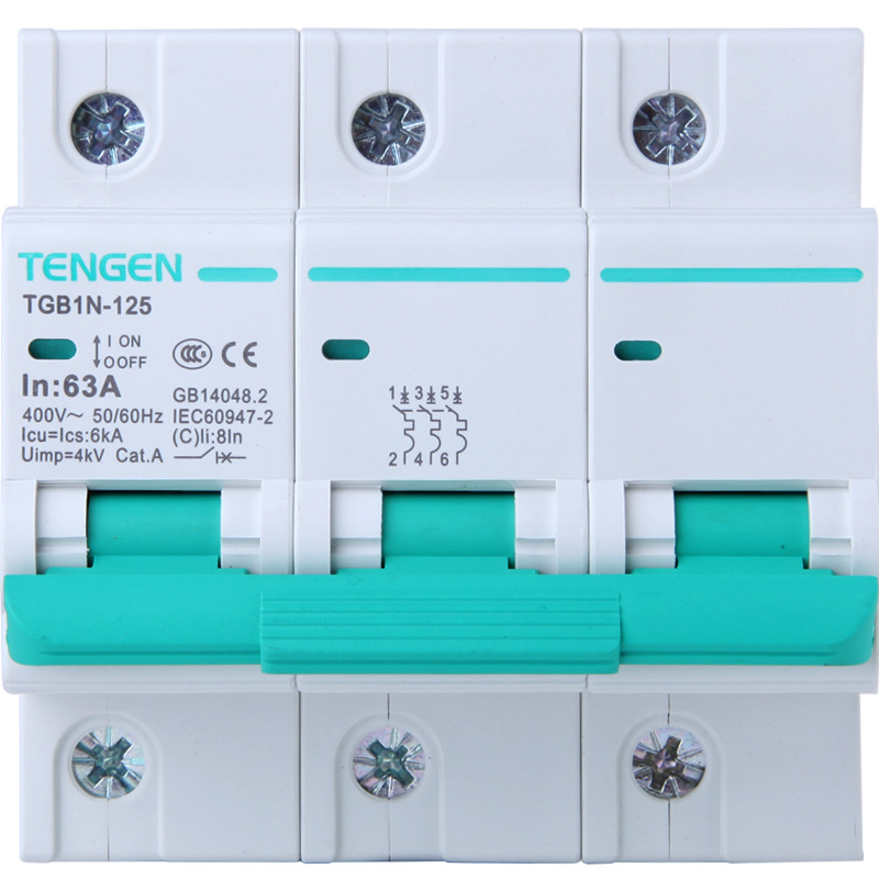 天正TGB1N-125小型断路器DZ47空气开关DZ158 1P/2P/3P/4P闸刀100A-阿里巴巴