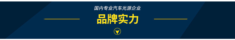 EAGLIGHT PSX24W PH24W SP13W PW24W PSY24W 雾灯转向刹车日行灯-阿里巴巴