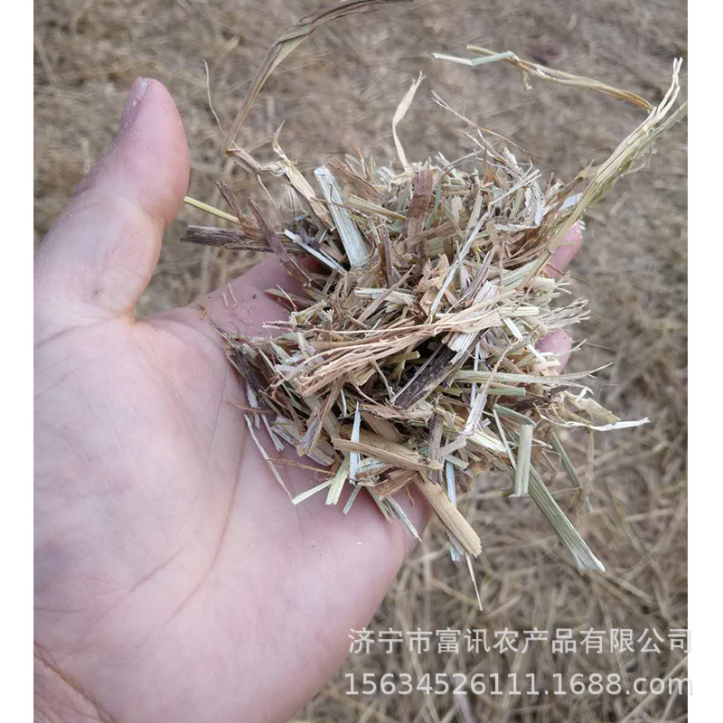 草纤维出售 供应新稻草纤维 绿化工程护坡材料硅藻泥稻草纤维-阿里巴巴