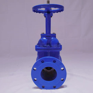 阀门 明杆闸阀 Z41X-16 法兰闸阀 软密封闸阀 DN100 DN150 闸阀-阿里巴巴