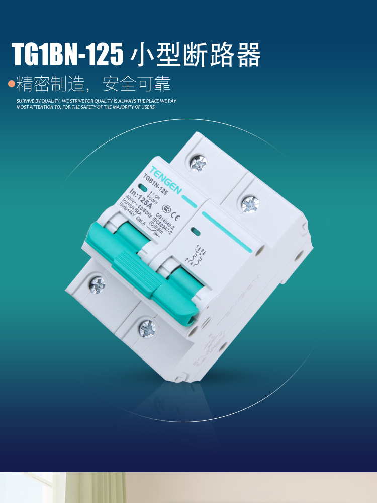 天正TGB1N-125 C63/80/100/125A小型断路器1P2P3P4P空气开关DZ47-阿里巴巴