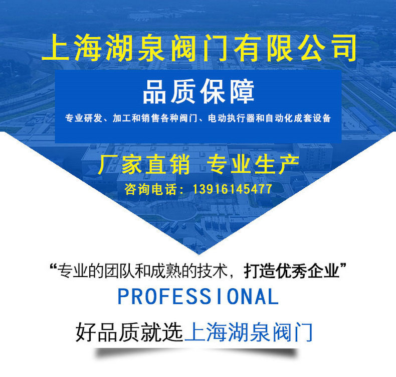 高温高压电动焊接闸阀Z962Y-P54 100V DN225电动闸阀-阿里巴巴