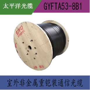 【太平洋】GYFTA53-8B1 8芯单模 室外非金属重铠装光缆 光缆厂家-阿里巴巴