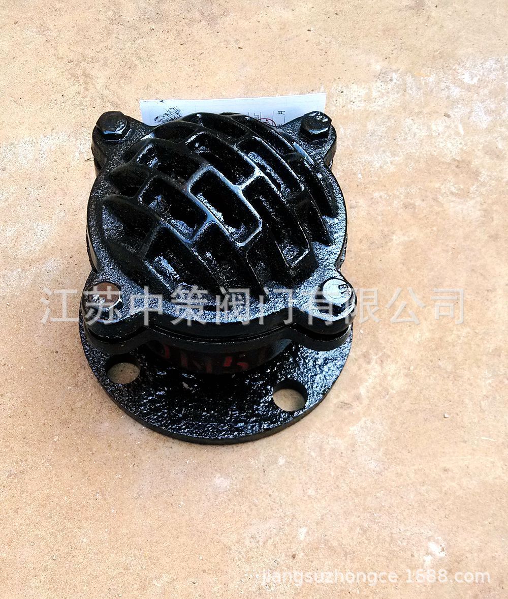 H42X-10法兰底阀止回阀 抽水泵吸水底阀DN50 65 80 100 150 200-阿里巴巴